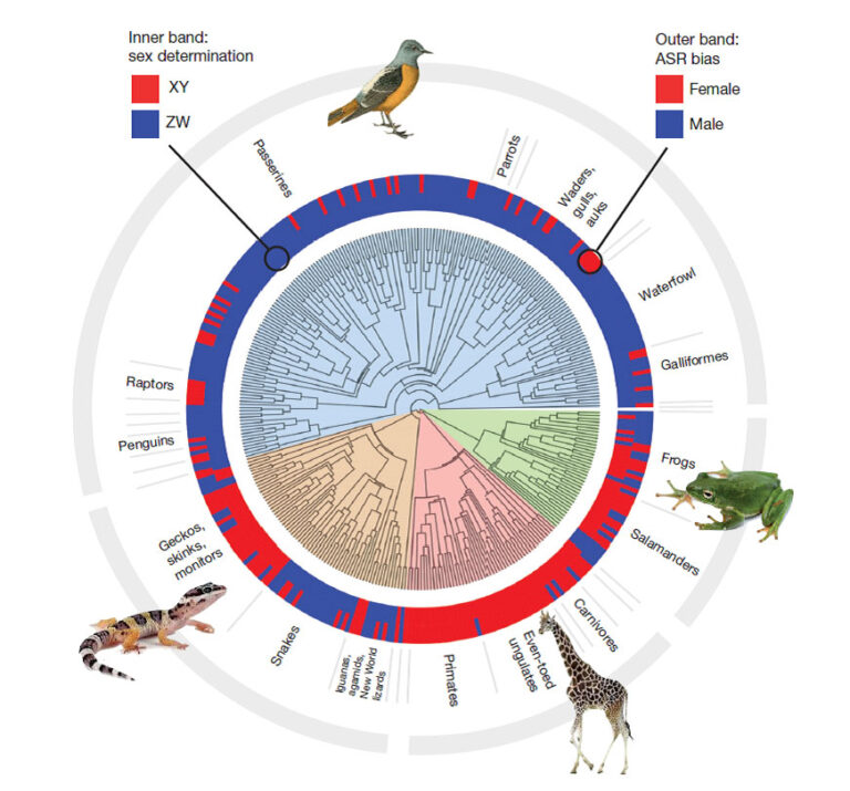 Comparative Project Hun Renpe Evolutionary Ecology Research Group 6810